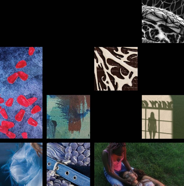 All Our Courses (Majors, Bachelors, Specialized Courses)