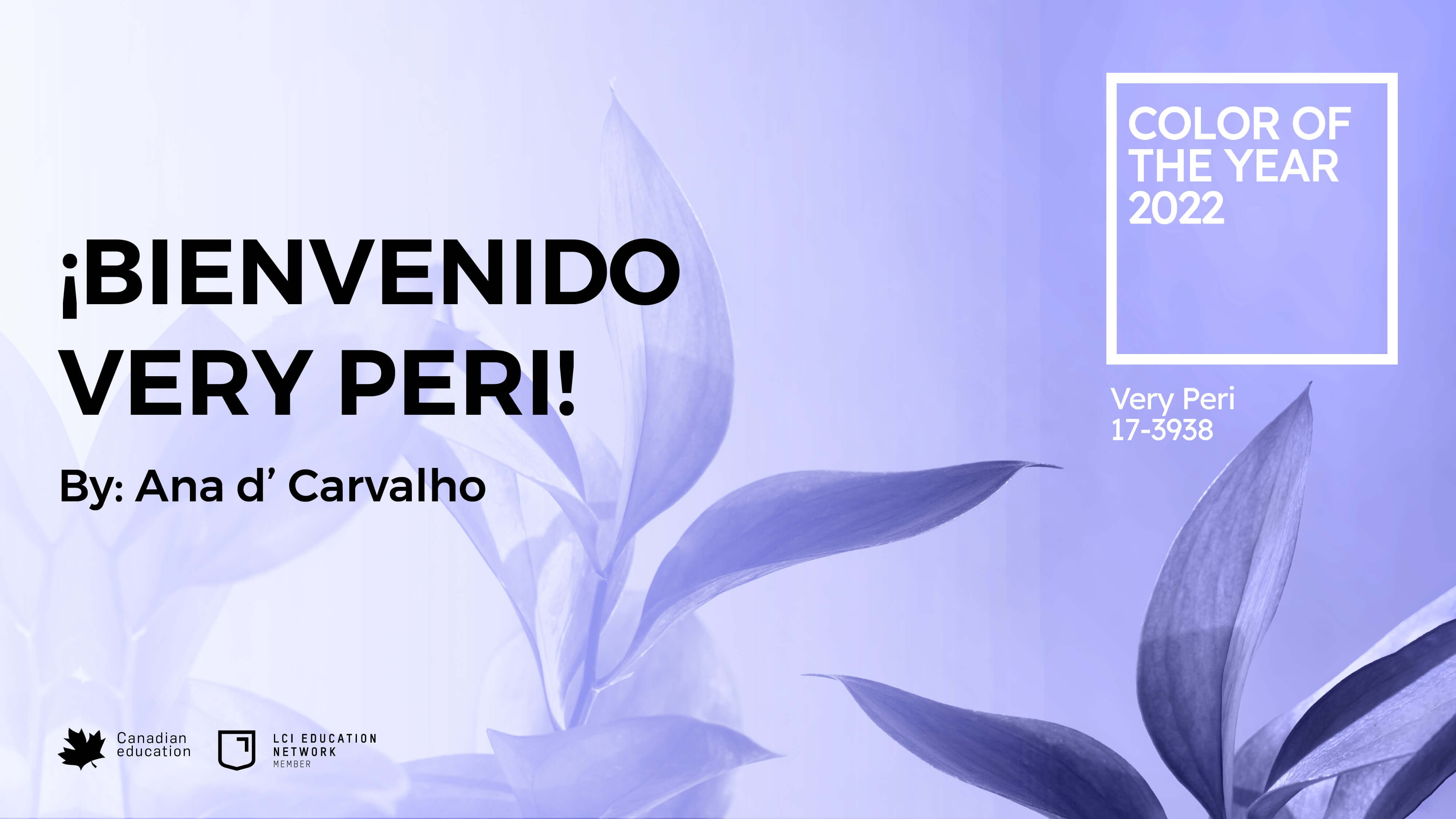 Bienvenido Very Peri | Noticias | Escuela de diseño LCI Bogotá